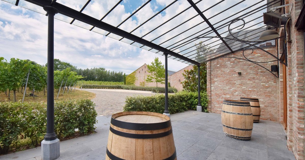 Wijndomein Nobel | Lowiz